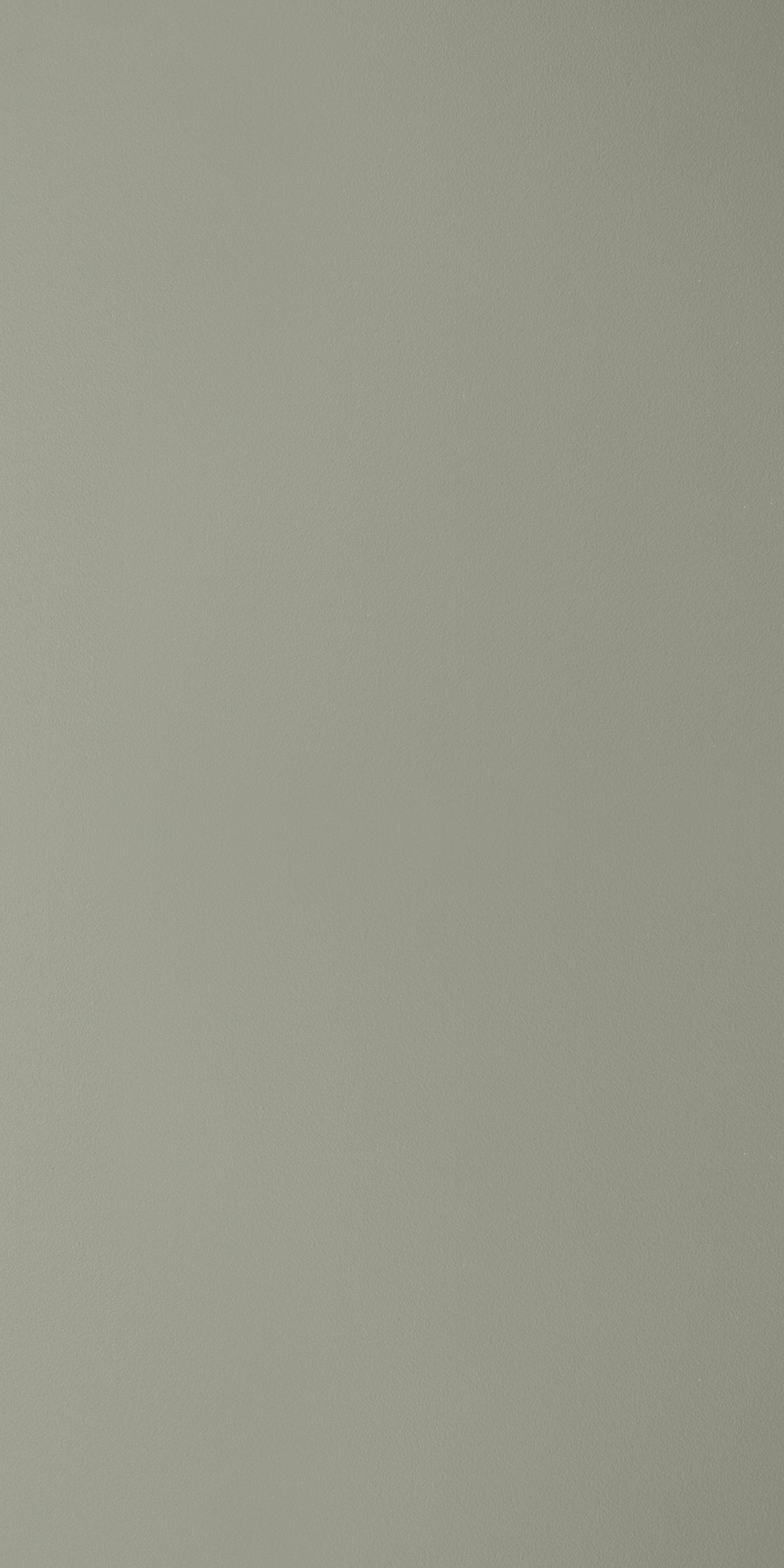 Buy Ash Grey Laminates with Suede (SUD) finish in India - Greenlam ...