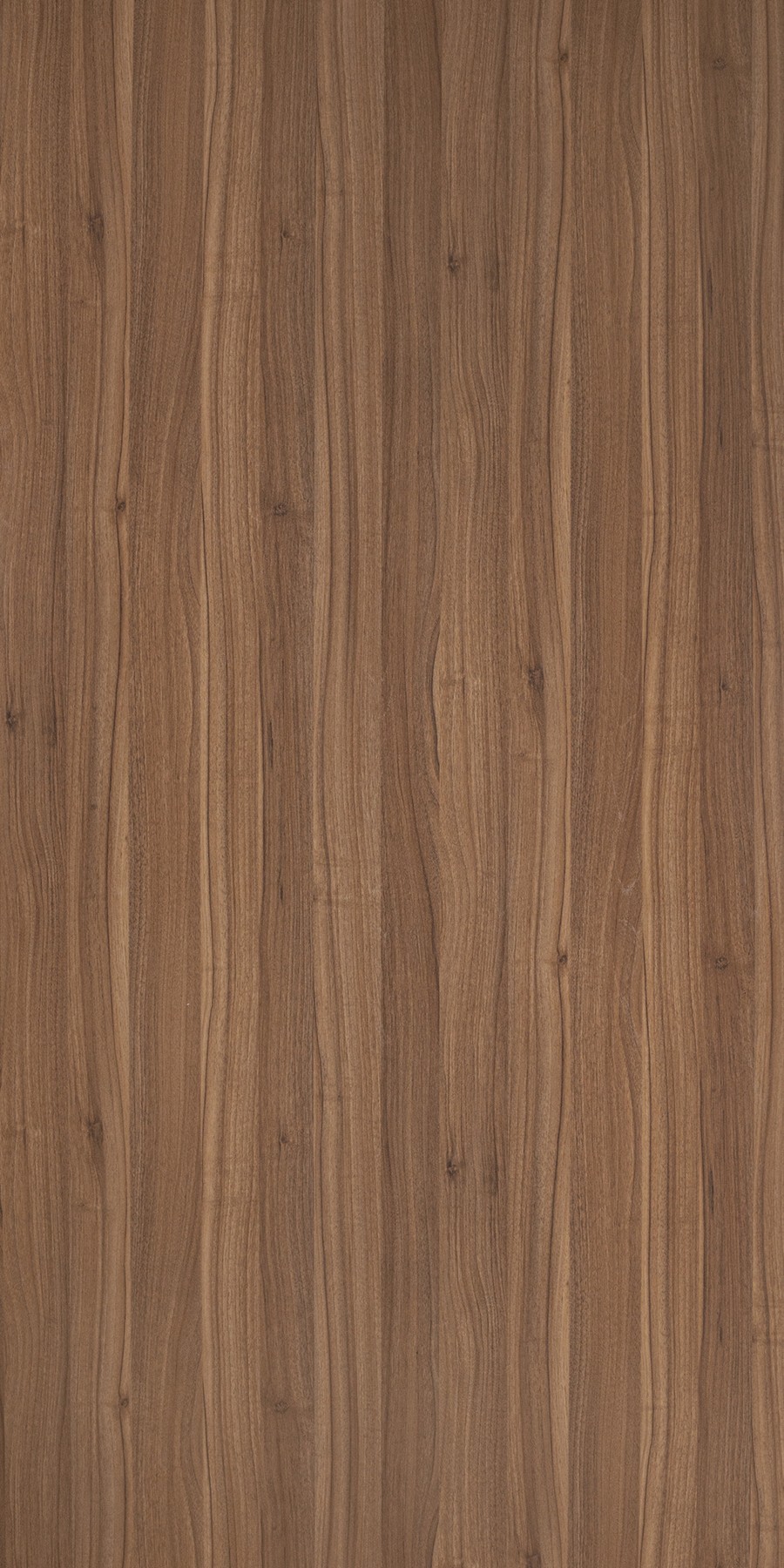 Buy Megeve Walnut Laminates with Natura (NAT) finish in India ...