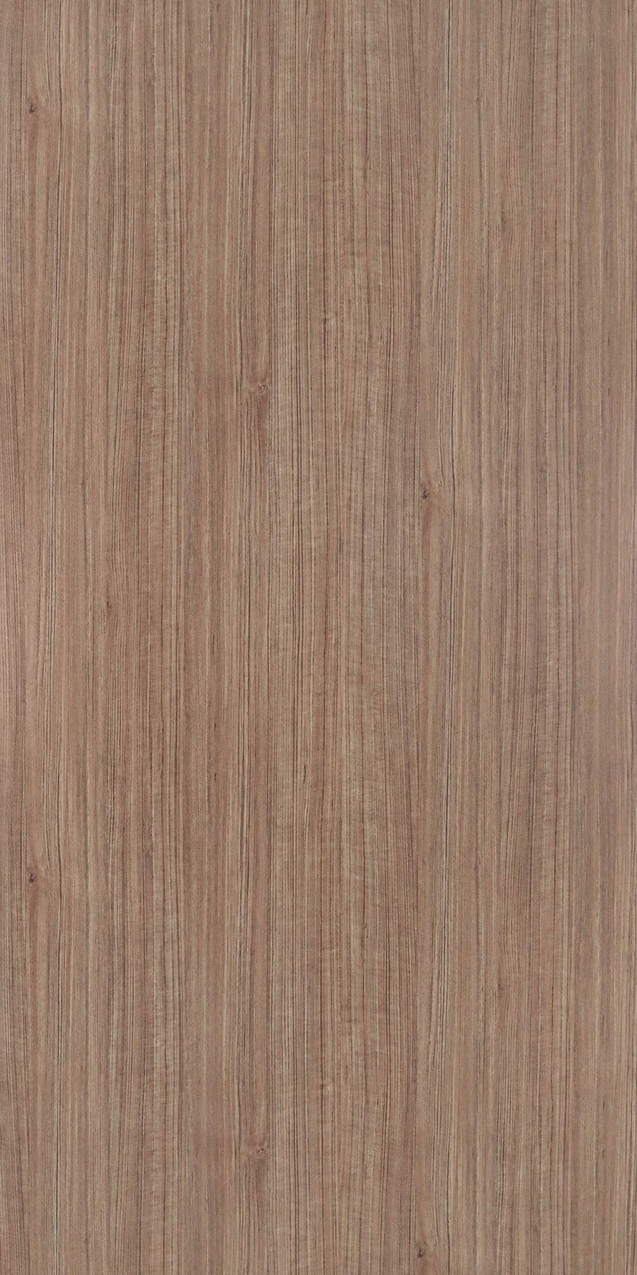 Buy Belavista Brown Laminates with Suede (SUD) finish in India ...