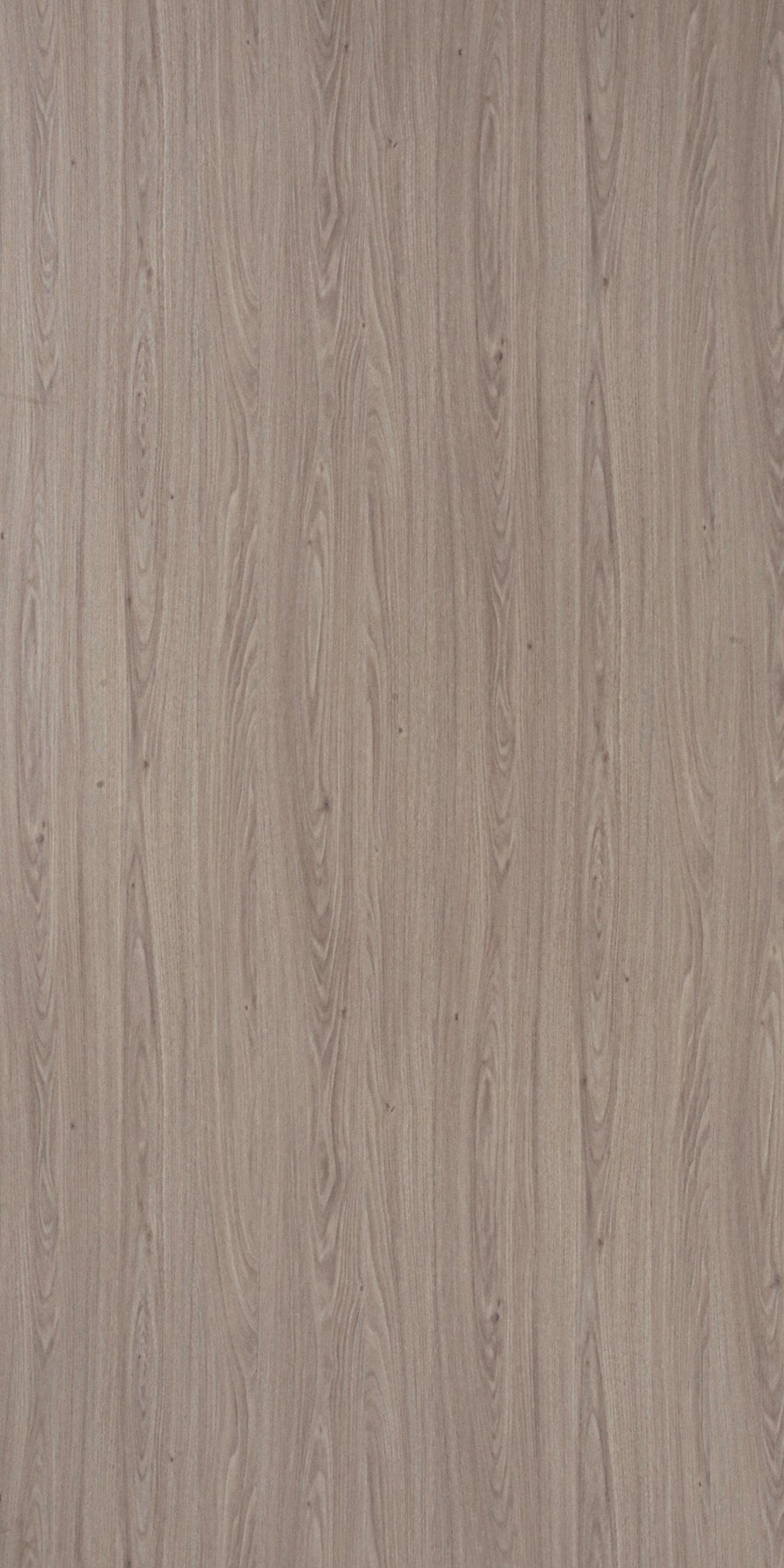 Buy Nordic Acacia Laminates with Trace (TRC) finish in India - Greenlam ...
