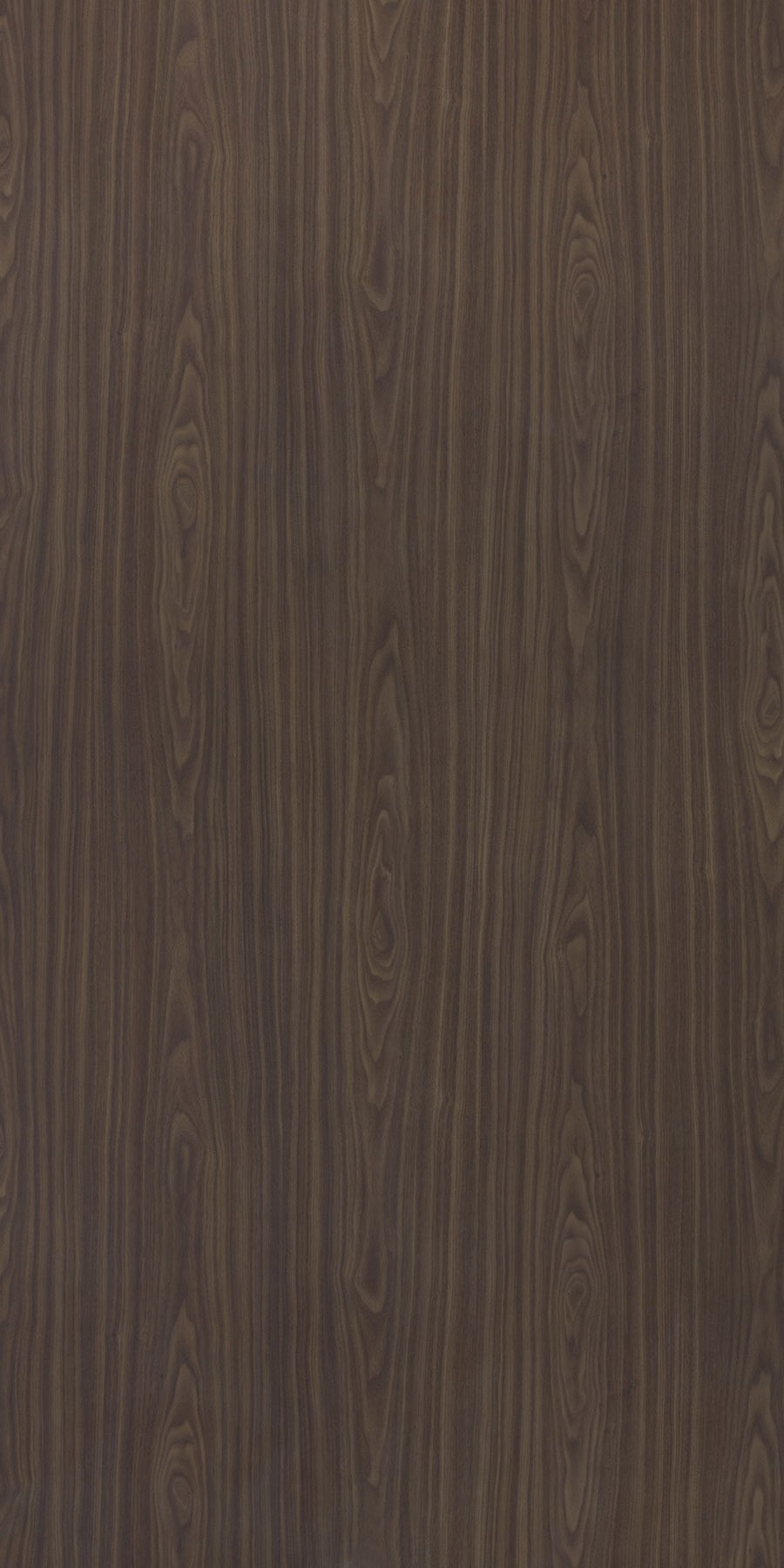 Buy American Walnut Laminates with Suede (SUD) finish in India ...