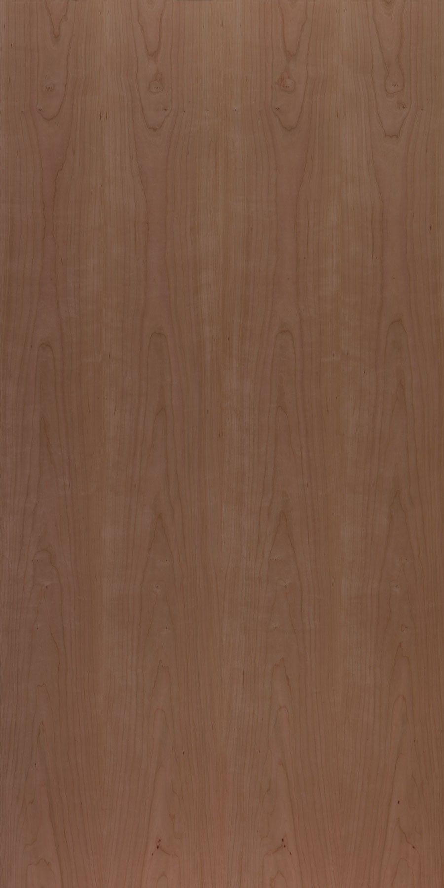 Buy American Cherry Laminates with NA finish in India - Greenlam Laminates