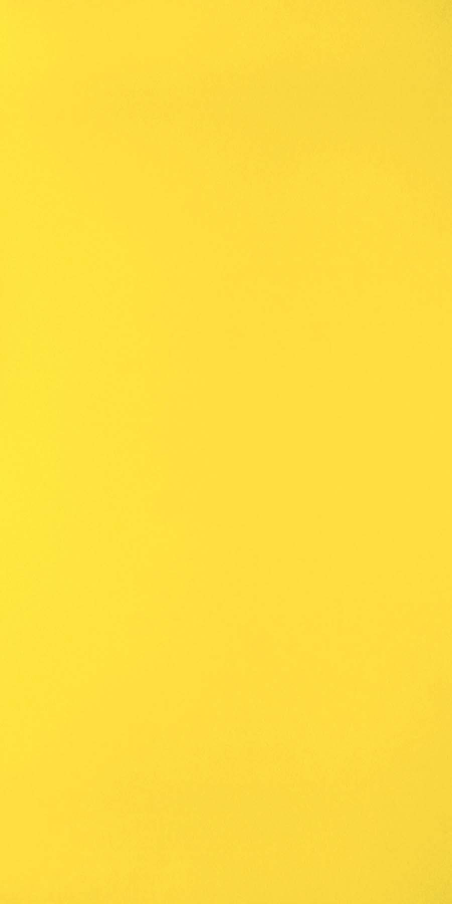 Buy Divine Yellow Laminates with Matt (MAT) finish in India - Greenlam ...
