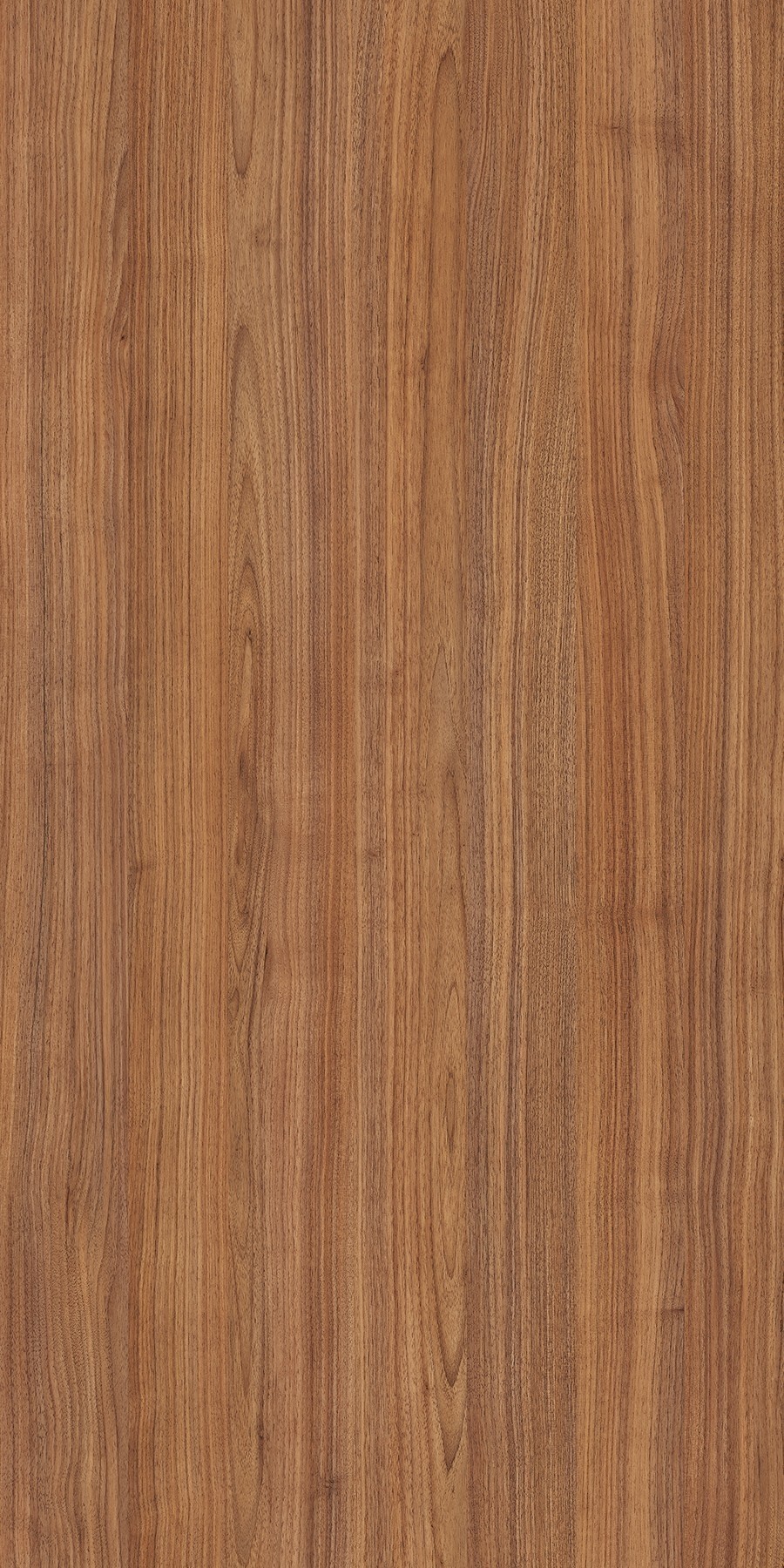 Buy Saturno Walnut Laminates with Satin (SAT) finish in India ...