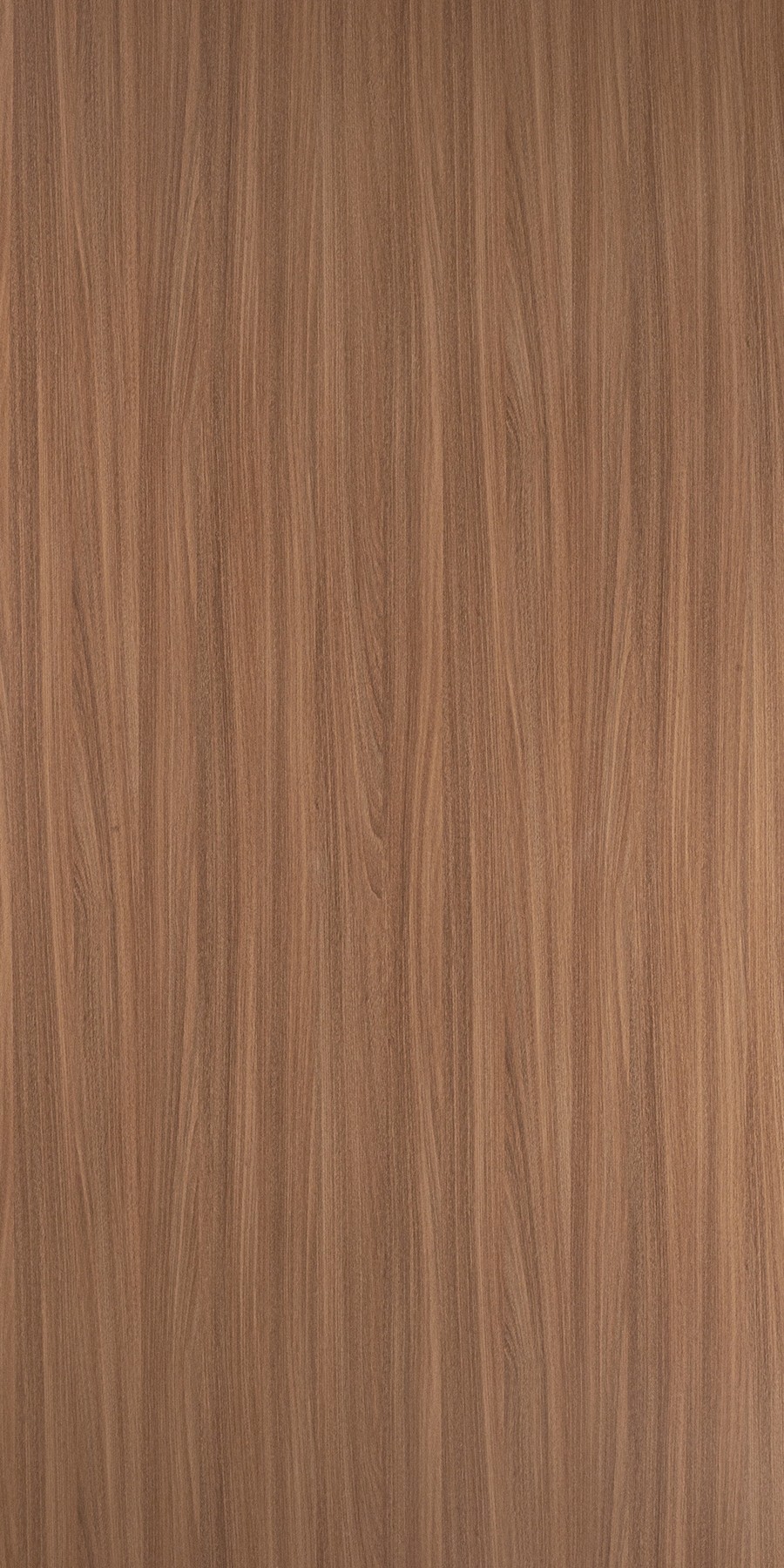 Door Laminates - Laminates - Collection