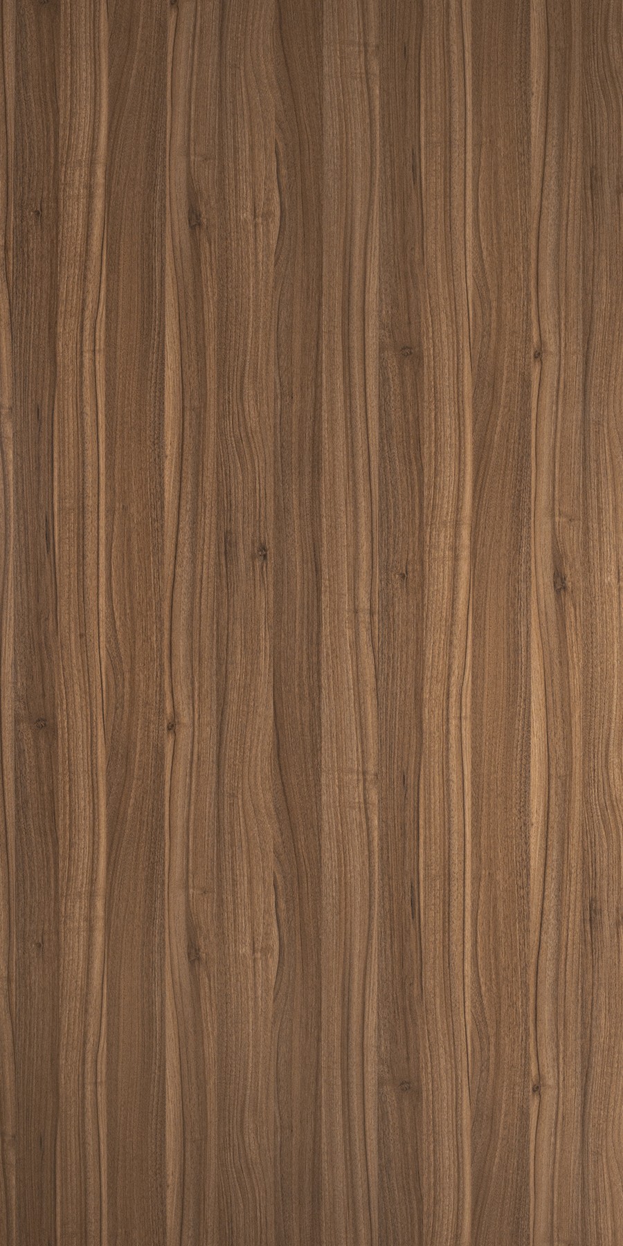 Door Laminates - Laminates - Collection