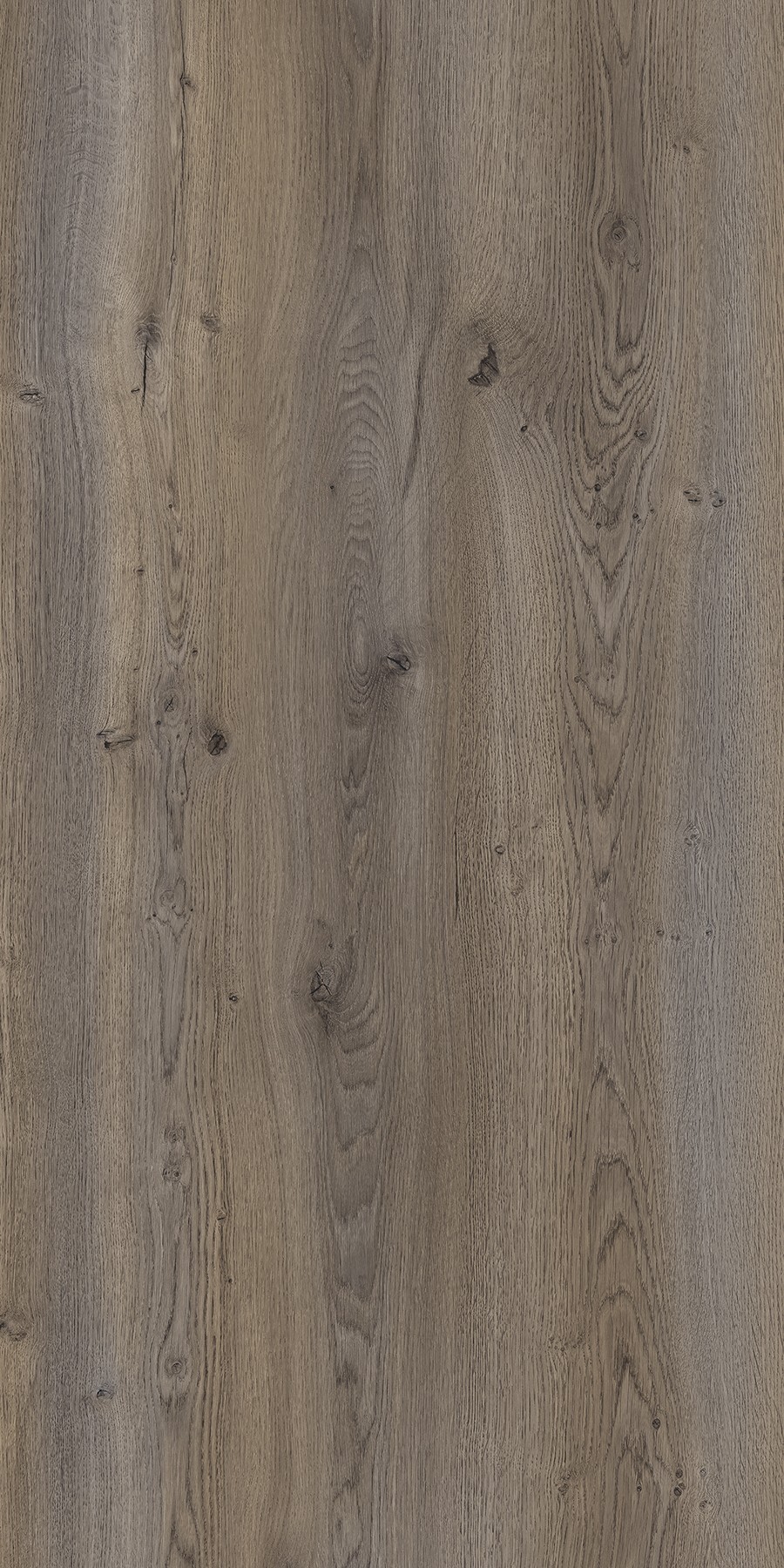 New Arrivals - Laminates - Collection