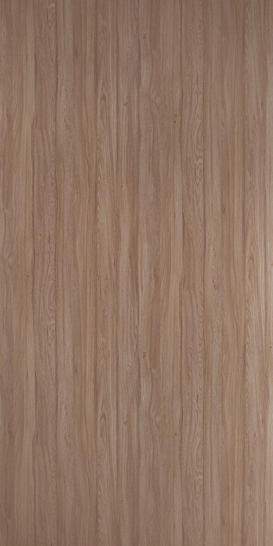 Buy Ariza Oak Laminates with Matt (MAT) finish in India - Greenlam ...