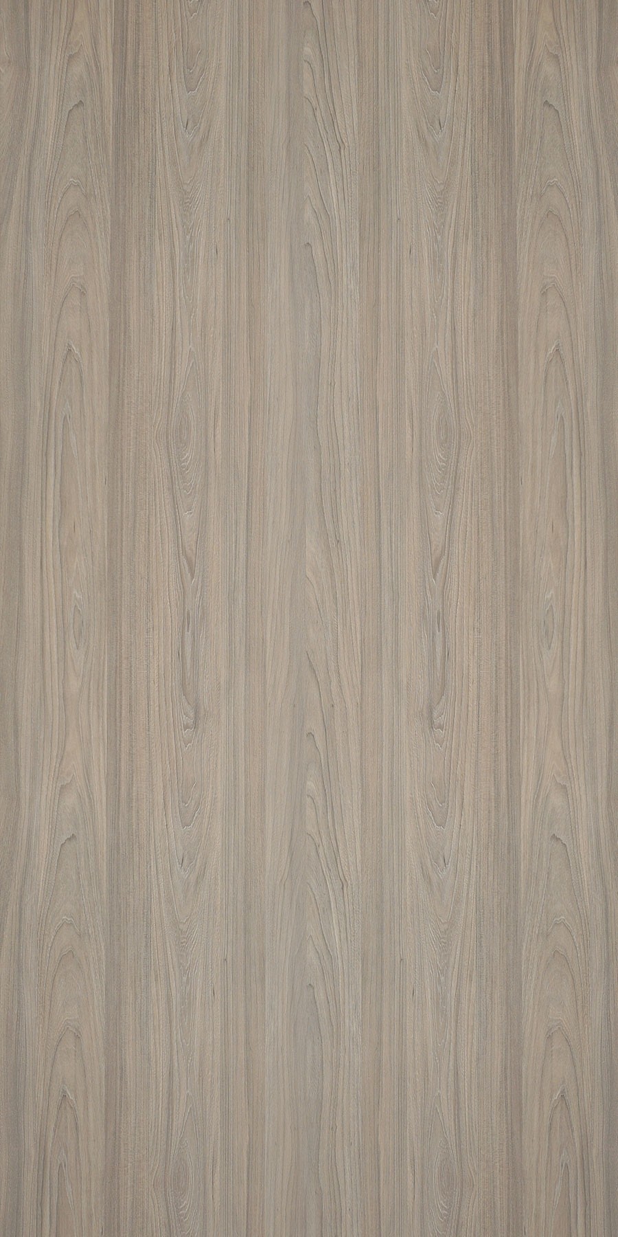 Buy Rosenheim Elm Laminates with Synchro 1 (SY1) finish in India ...