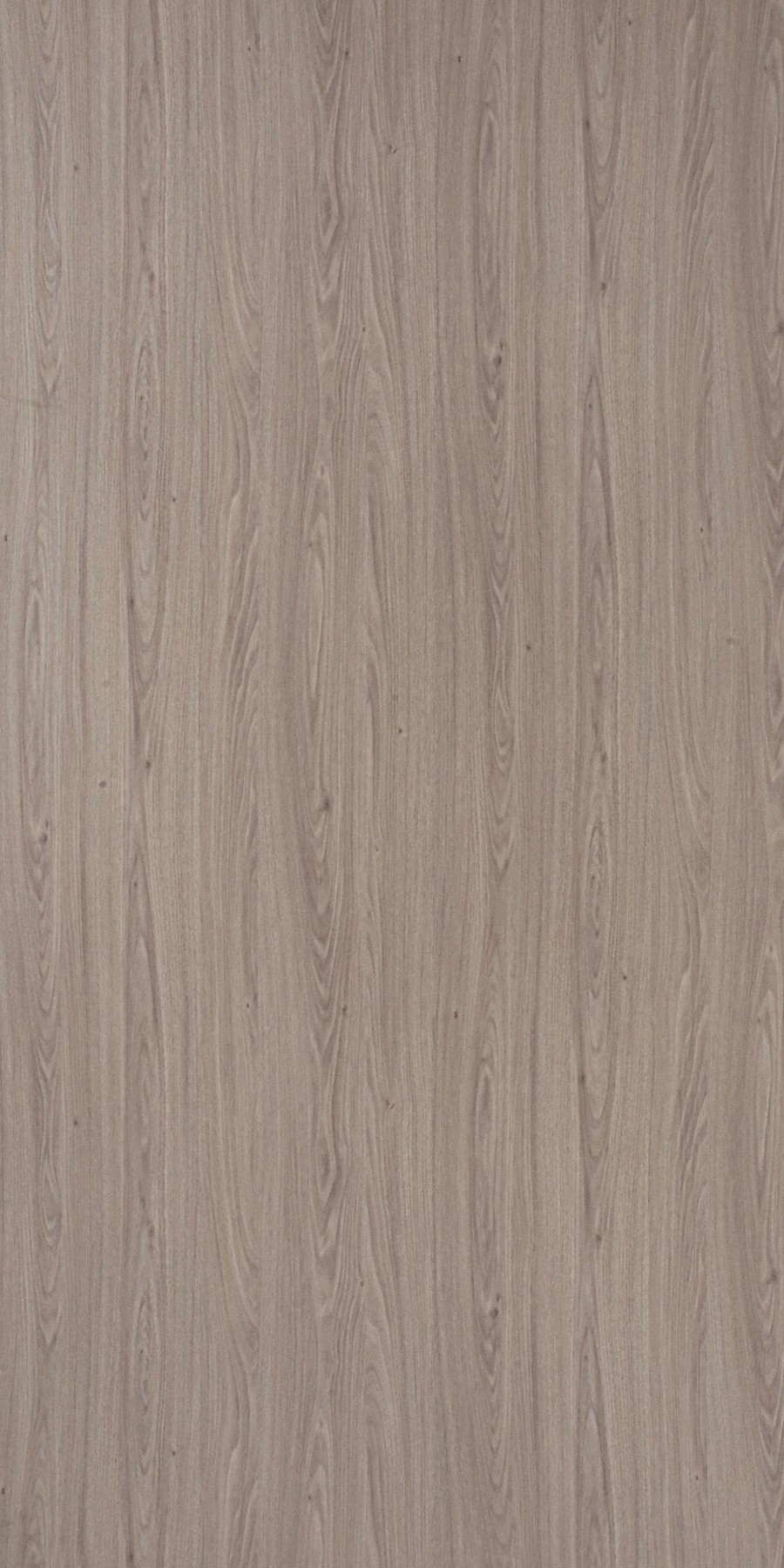 Buy Nordic Acacia Laminates with High Definition Gloss (HDG) finish in ...