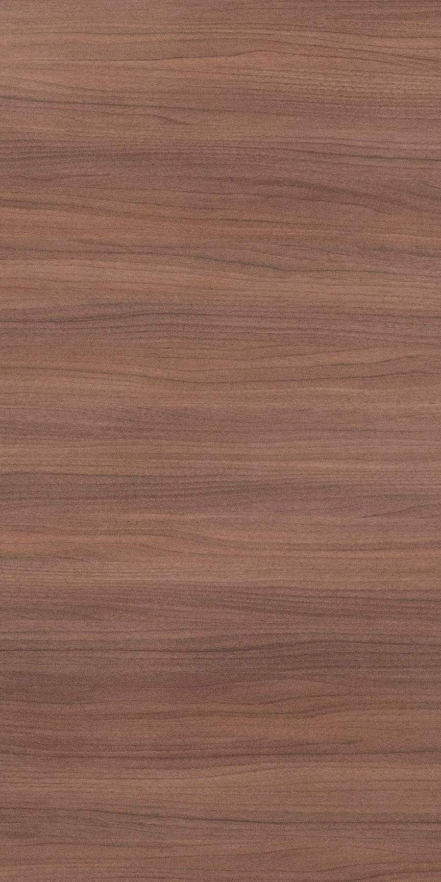 Buy Lyon Walnut Laminates with Matt (MAT) finish in India - Greenlam ...