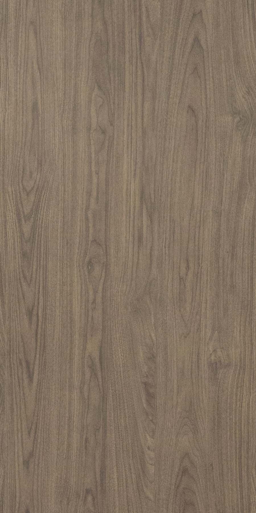 Buy Buen Walnut Laminates with Suede (SUD) finish in India - Greenlam ...