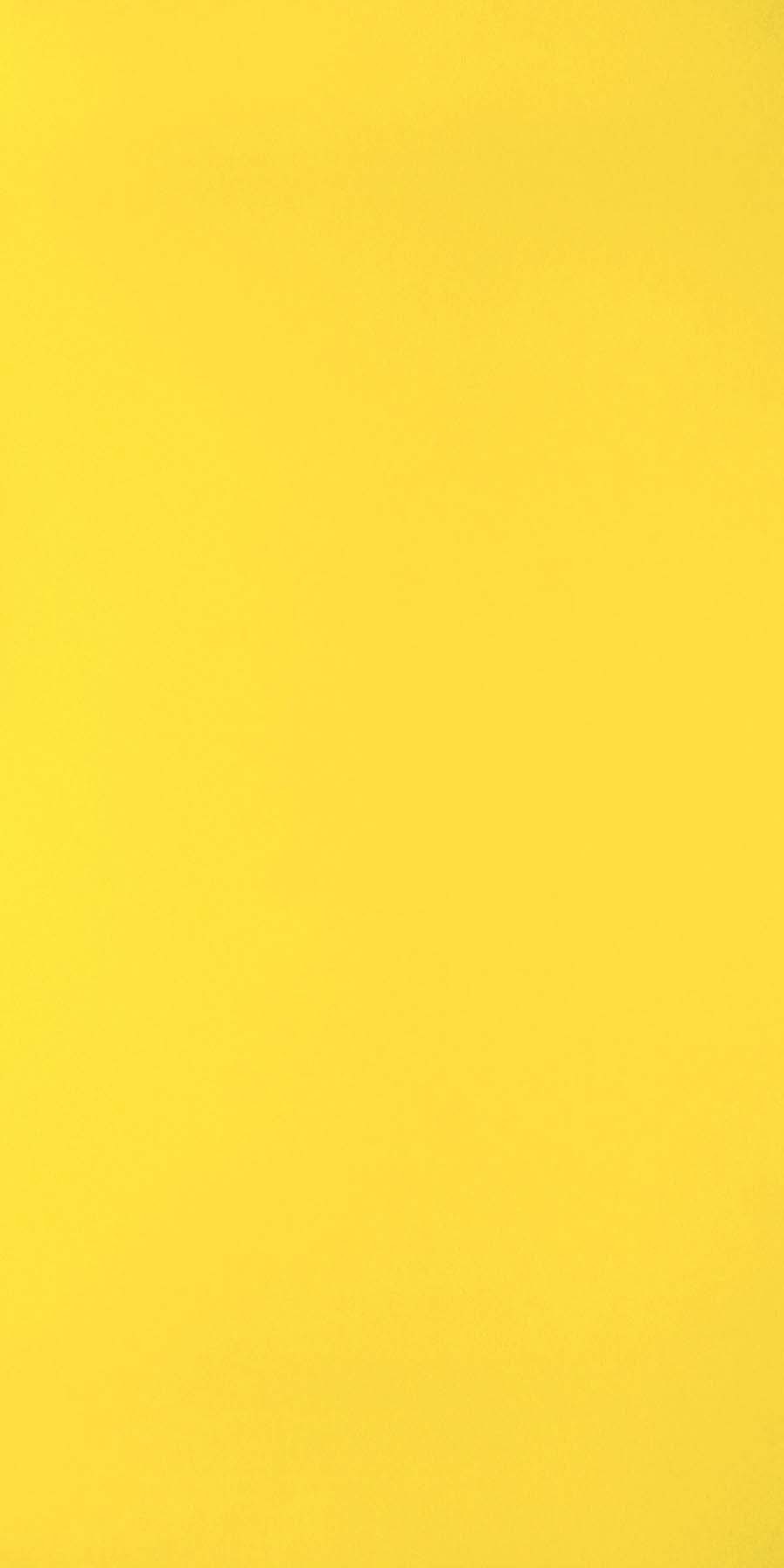 Buy Divine Yellow Laminates with Suede (SUD) finish in India - Greenlam ...