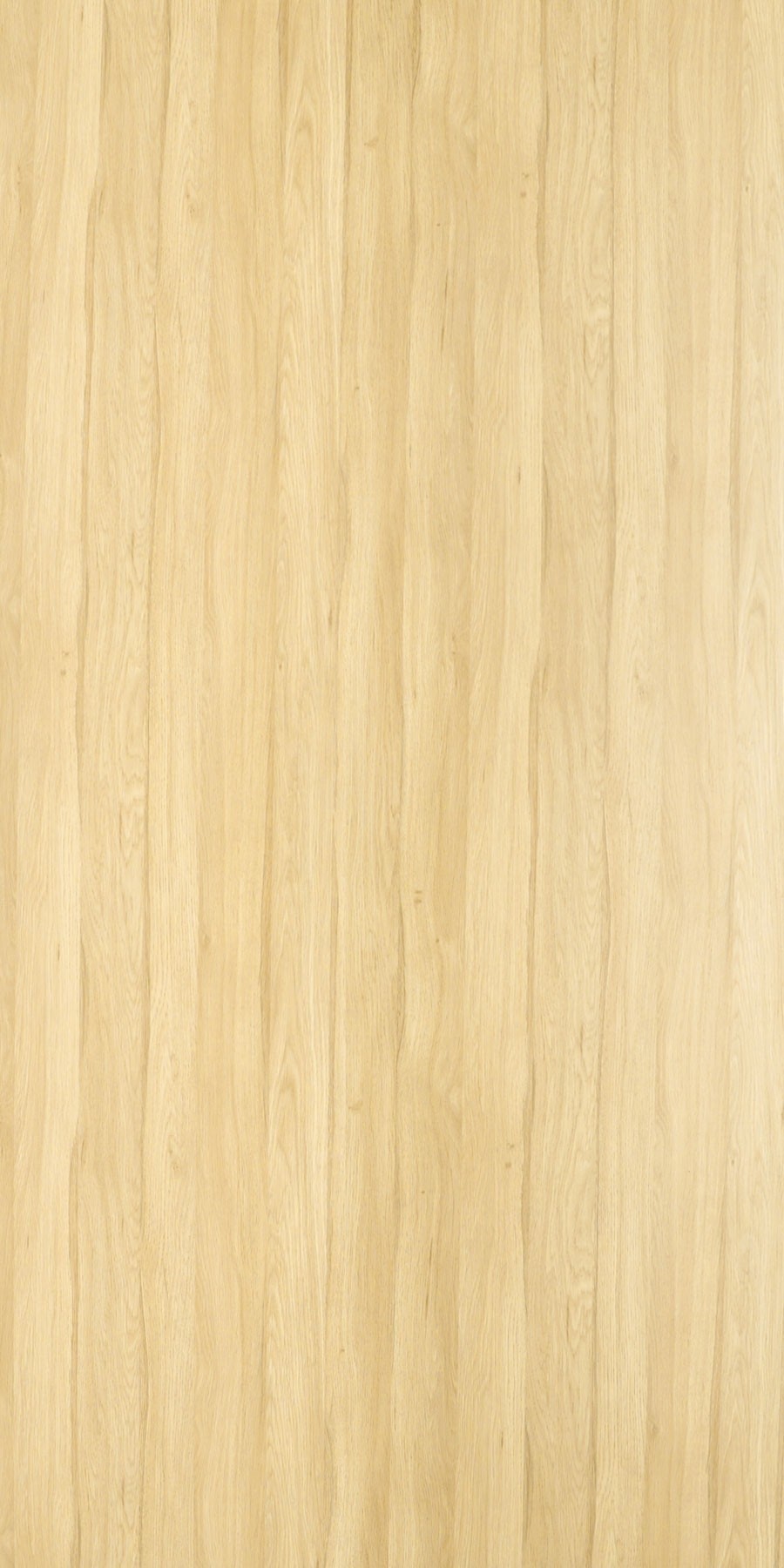 Buy Primeval Oak Laminates with Matt (MAT) finish in India - Greenlam ...