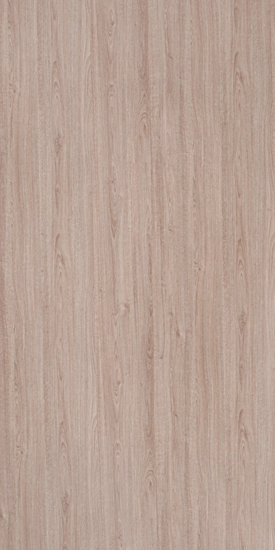 Buy Modern Oak Laminates with Satin (SAT) finish in India - Greenlam ...