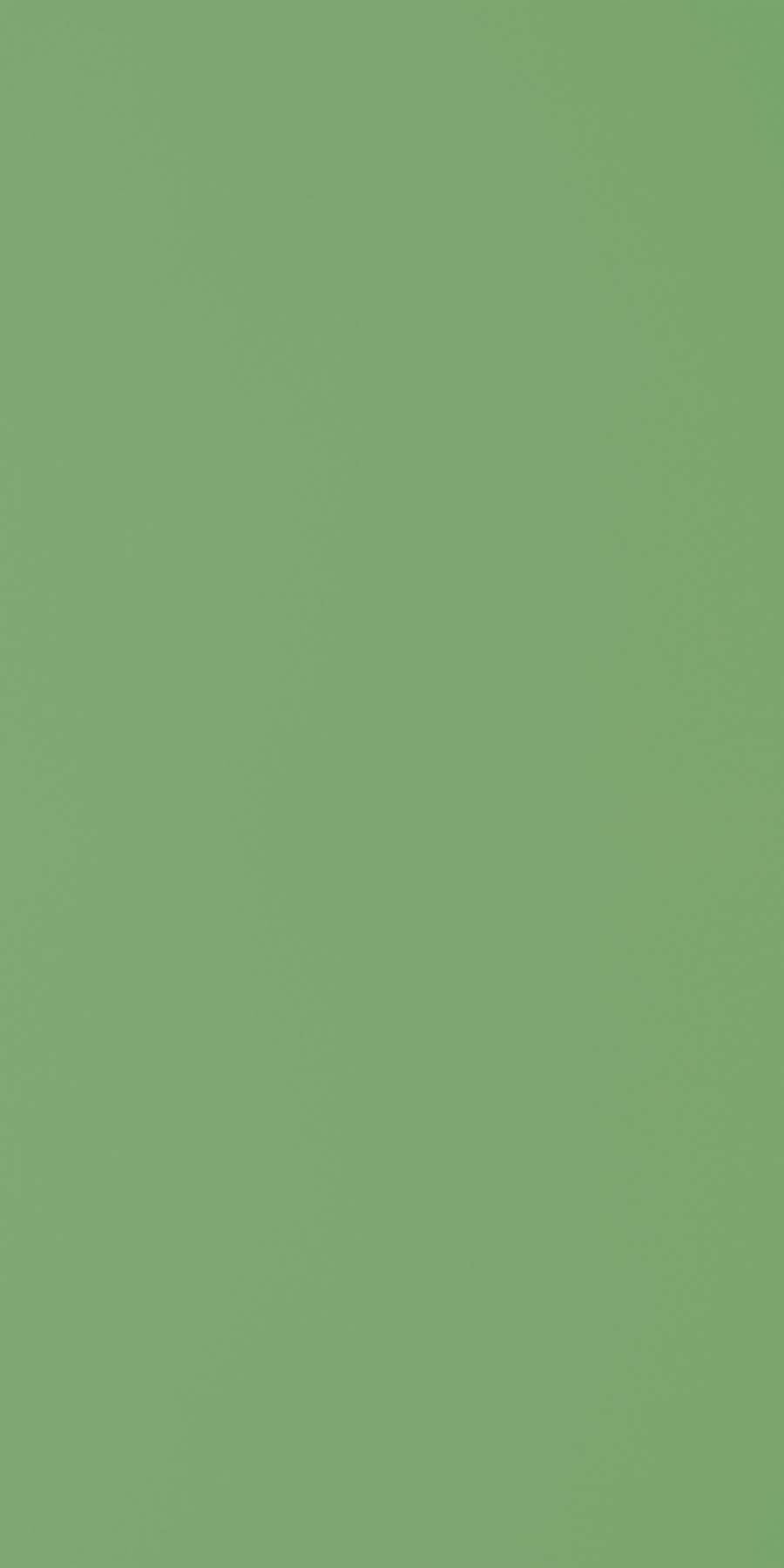 Buy Leaf Green Laminates with Suede (SUD) finish in India - Greenlam ...